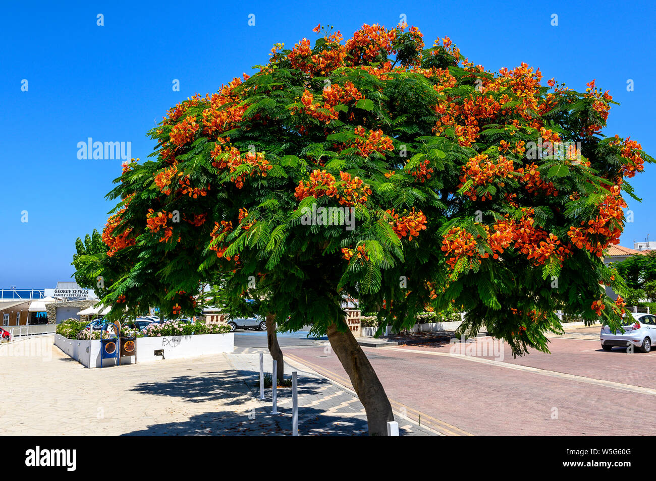 Protaras main street, Protaras, Cyprus Stock Photo - Alamy
