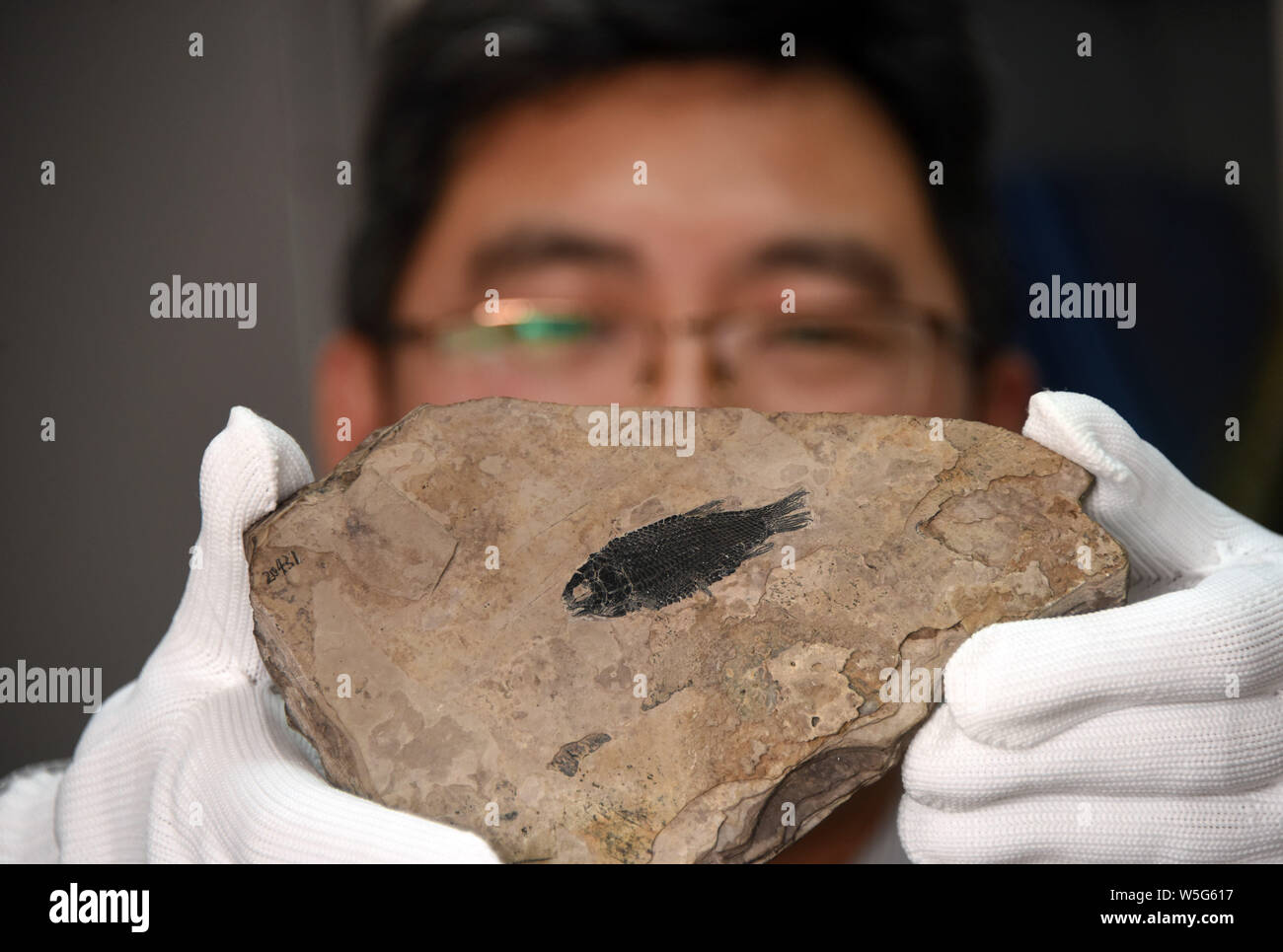 Chinese scientist Xu Guanghui shows the new fish genus living 244 ...