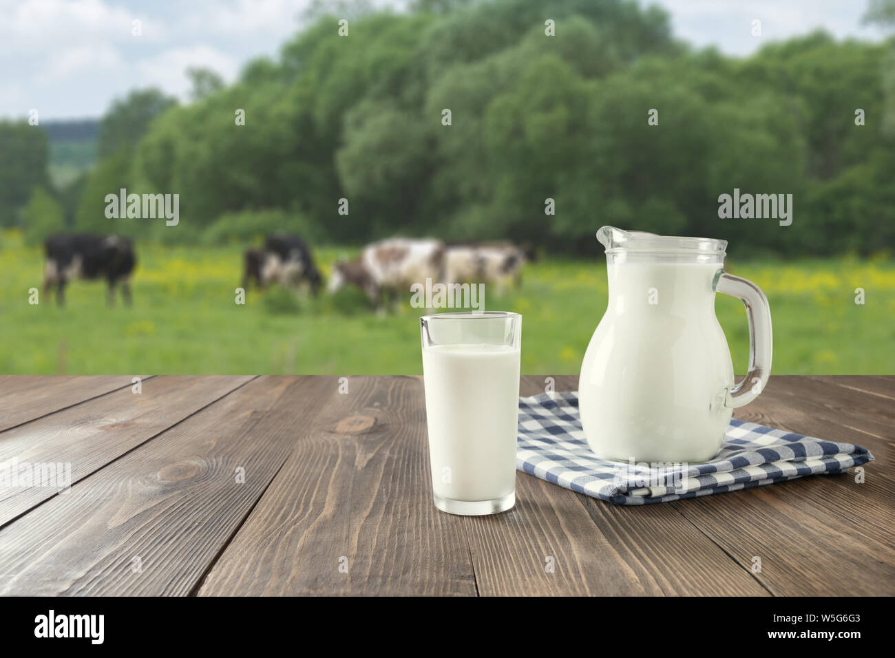 Fresh milk in glass on dark wooden tabletop and blurred landscape with ...