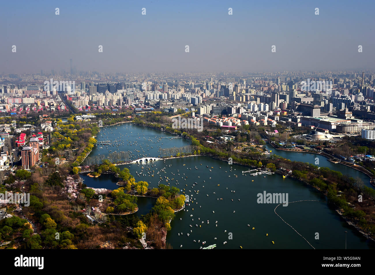 Tourists visit the Yuyuantan Park as cherry flowers in full bloom in ...