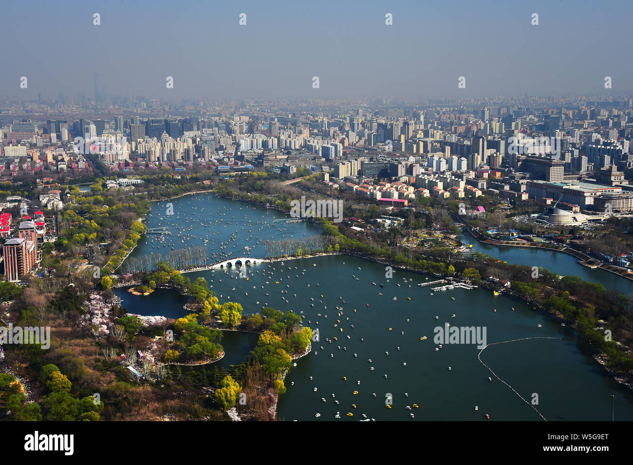 Tourists visit the Yuyuantan Park as cherry flowers in full bloom in ...