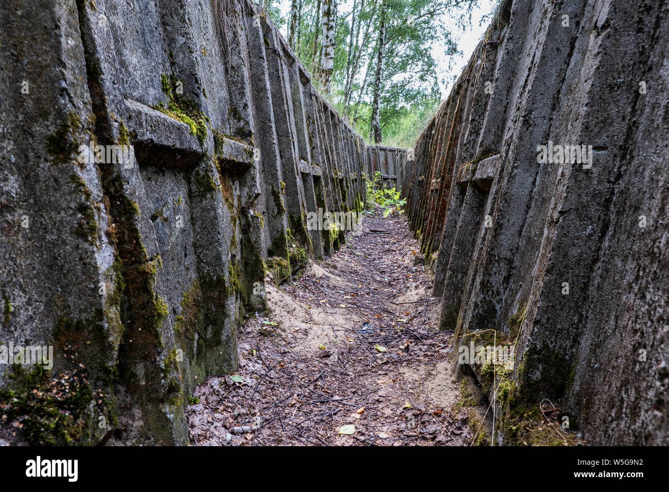 Trench with concrete strengthened walls, entrenchment in an old ...
