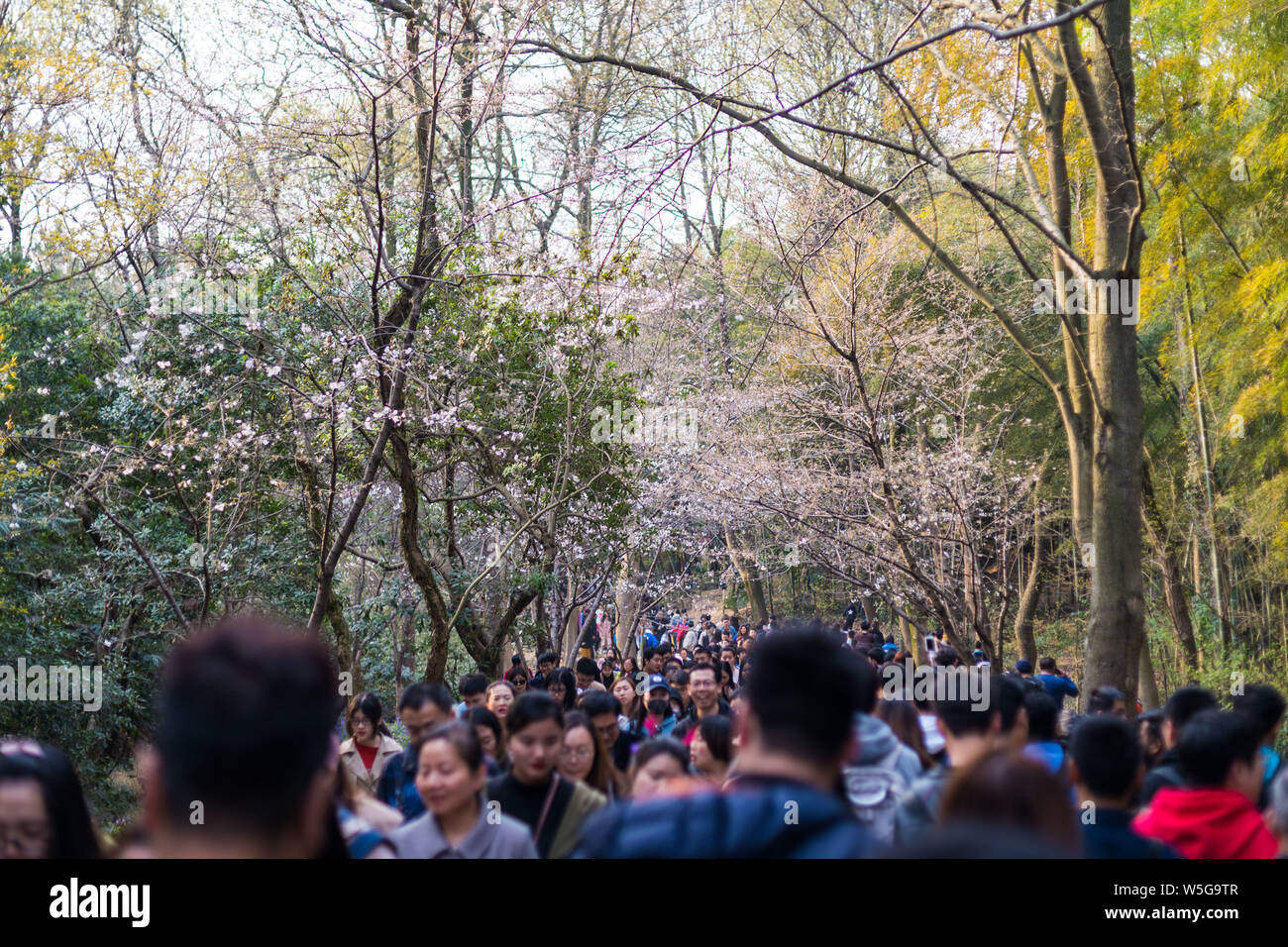 Landscape of the Yuantouzhu, or "Turtle Head Isle", China's top tourist resort for viewing ...