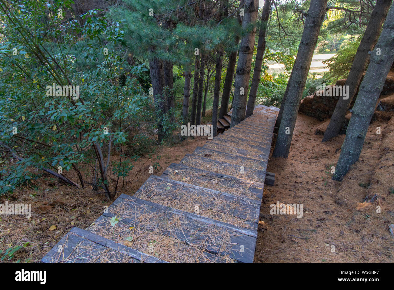 Winding footpath leading through hi-res stock photography and images ...