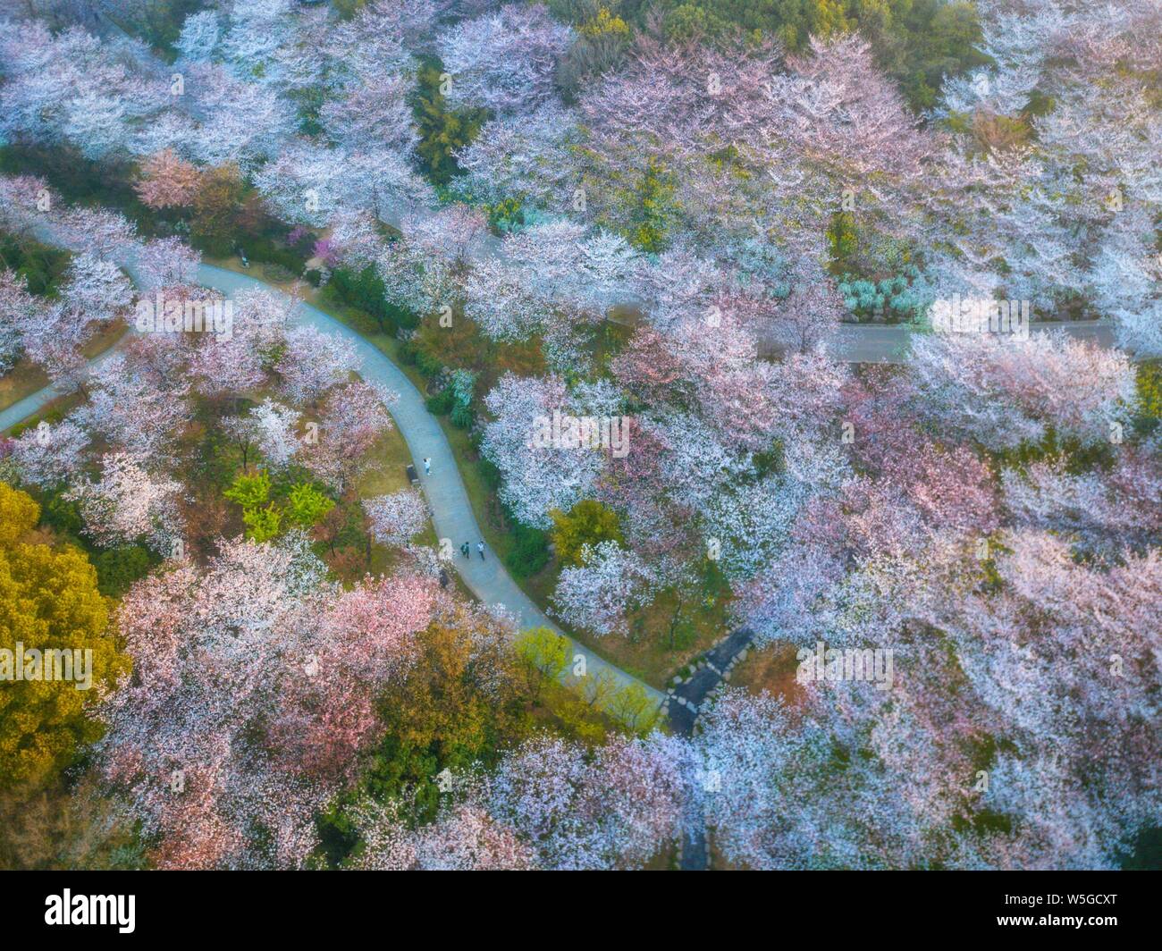 The turtle head isle hi-res stock photography and images - Alamy