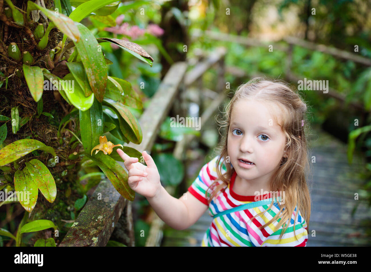 Little girl hiking in jungle. Child looking at wild orchid in tropical ...