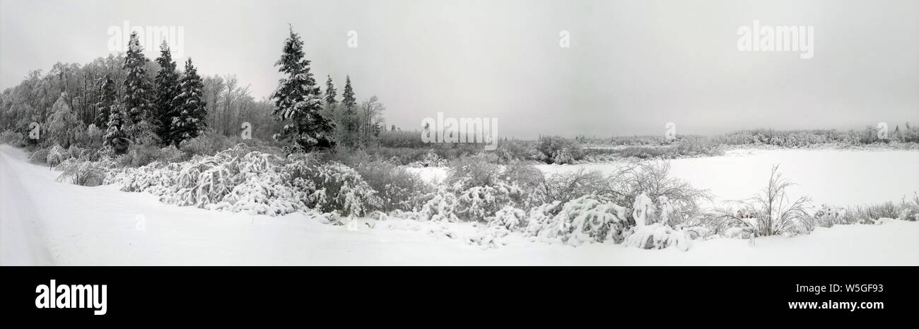 Boreal forest canada hi-res stock photography and images - Alamy