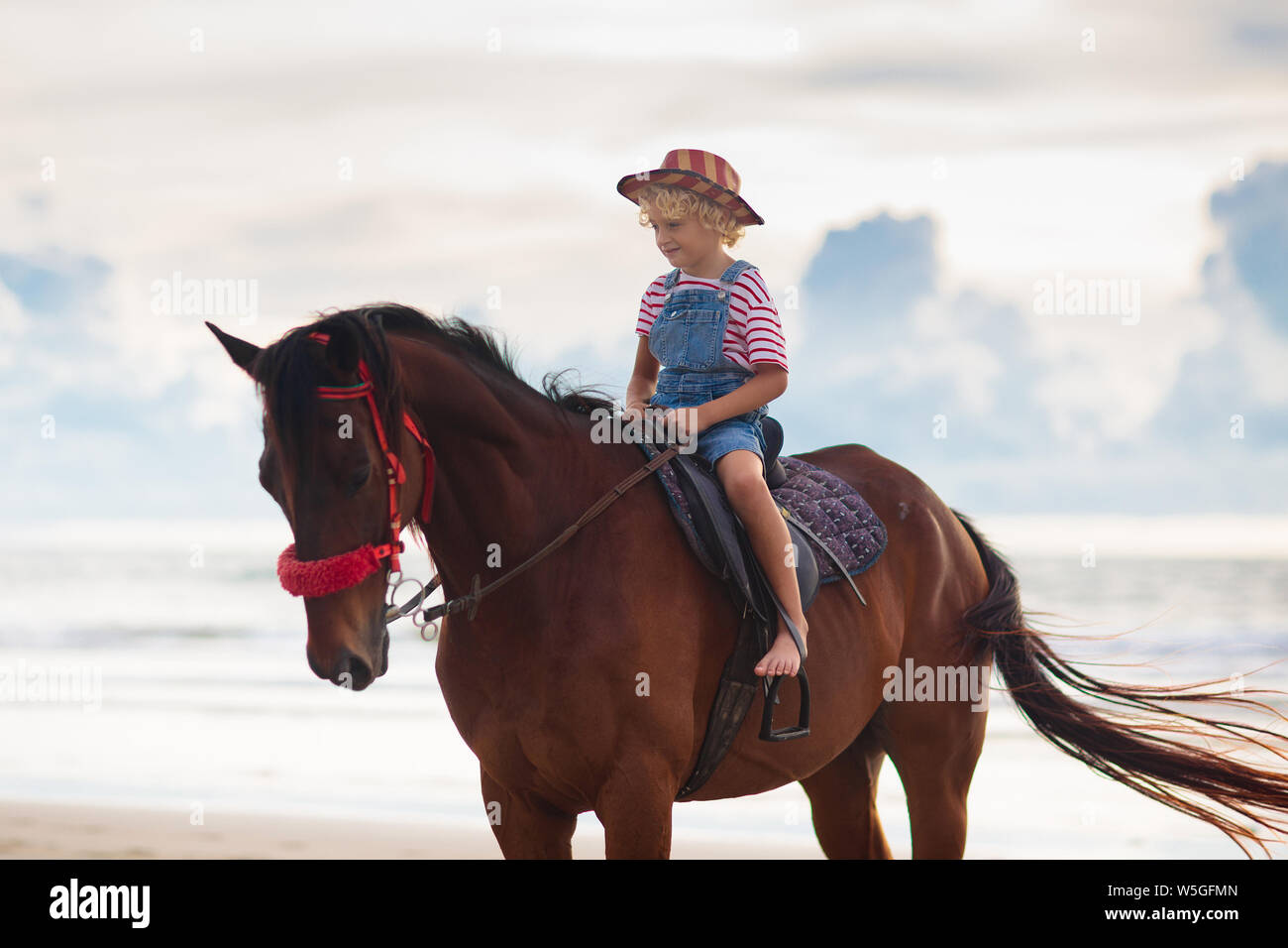 Sunset ranch horse riding california hi-res stock photography and ...