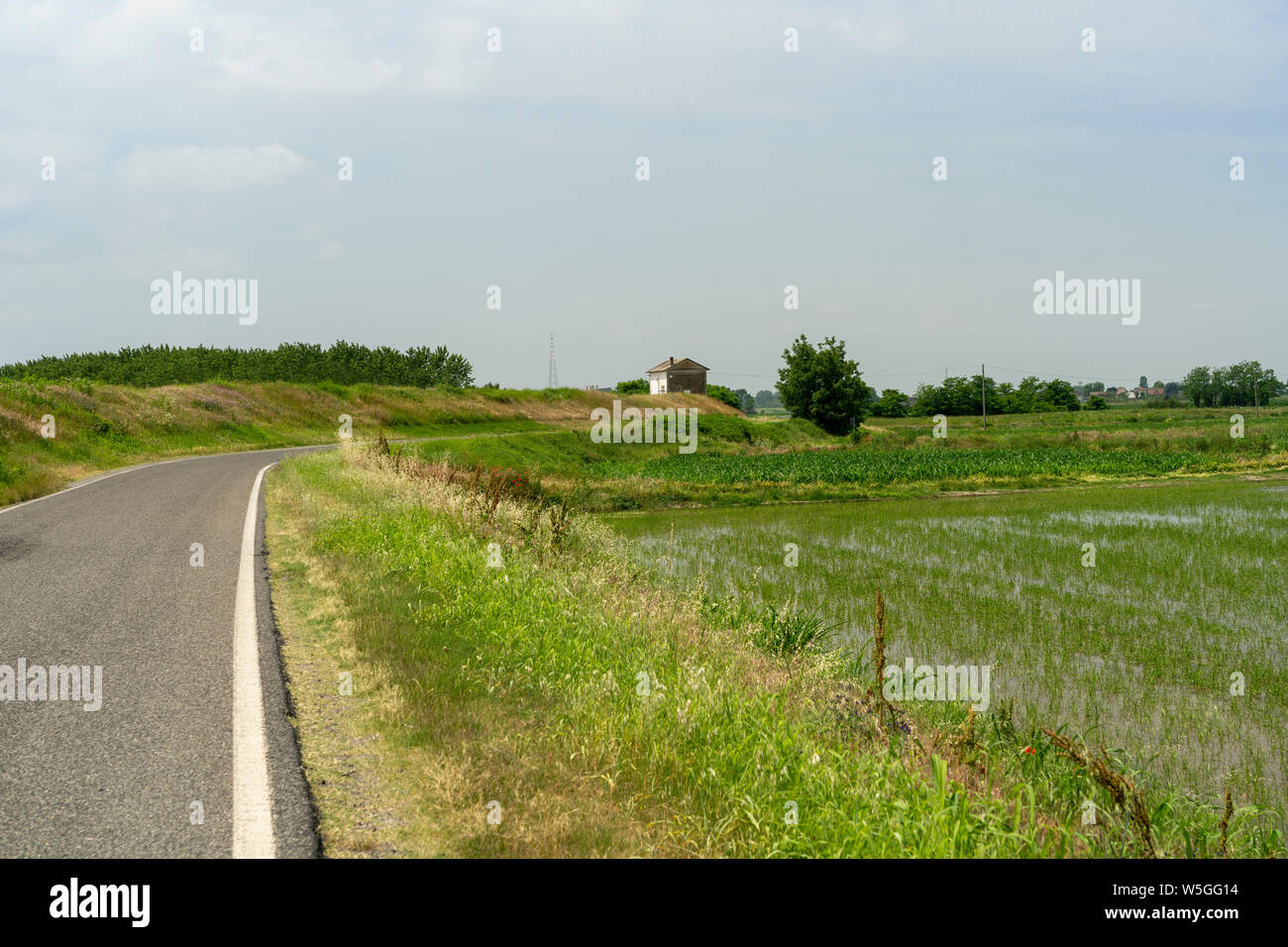 Rice fields in po river hi-res stock photography and images - Alamy