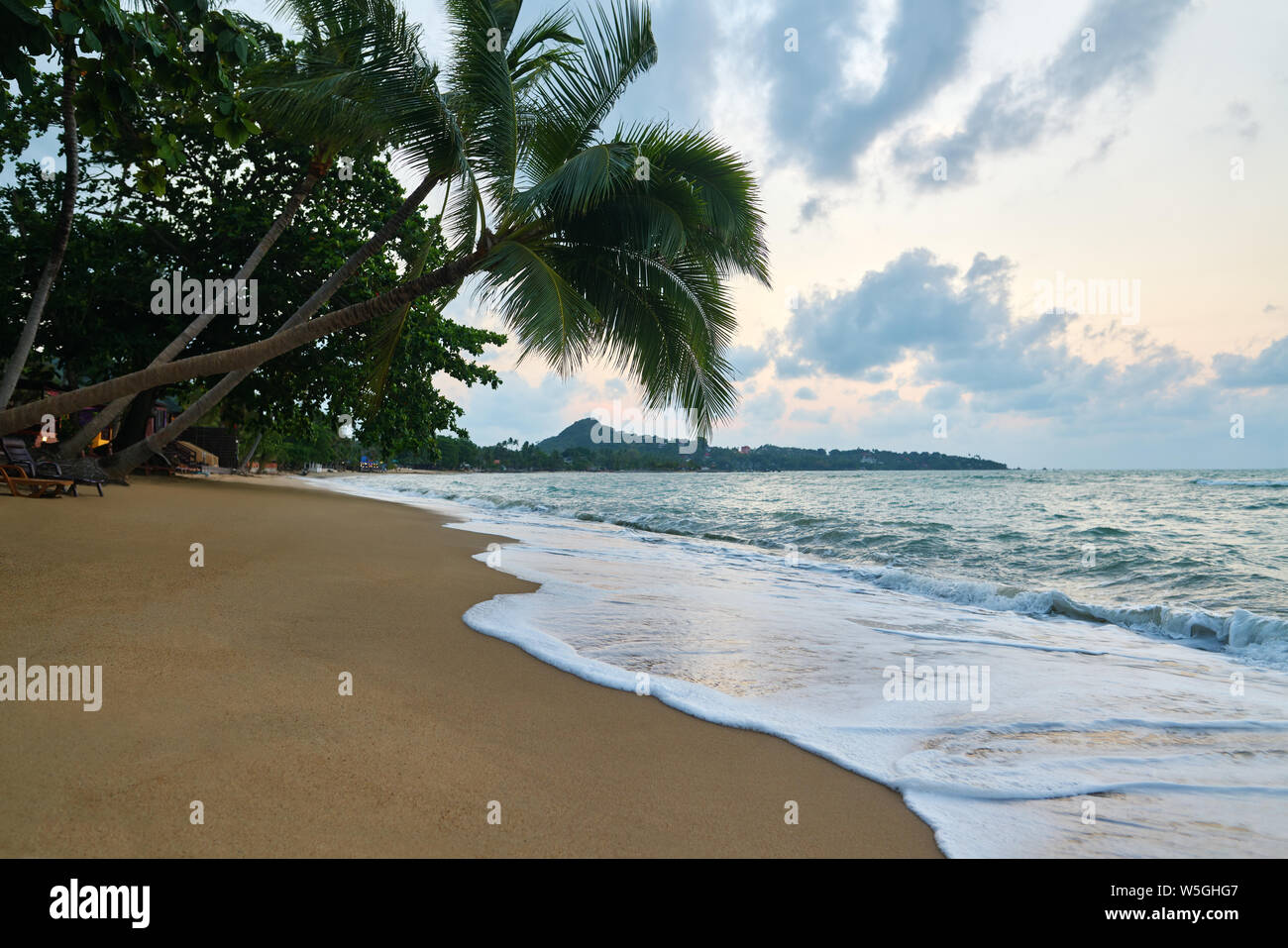 Amazing sunset at the beach on tropical island. Palm tree sunset ...