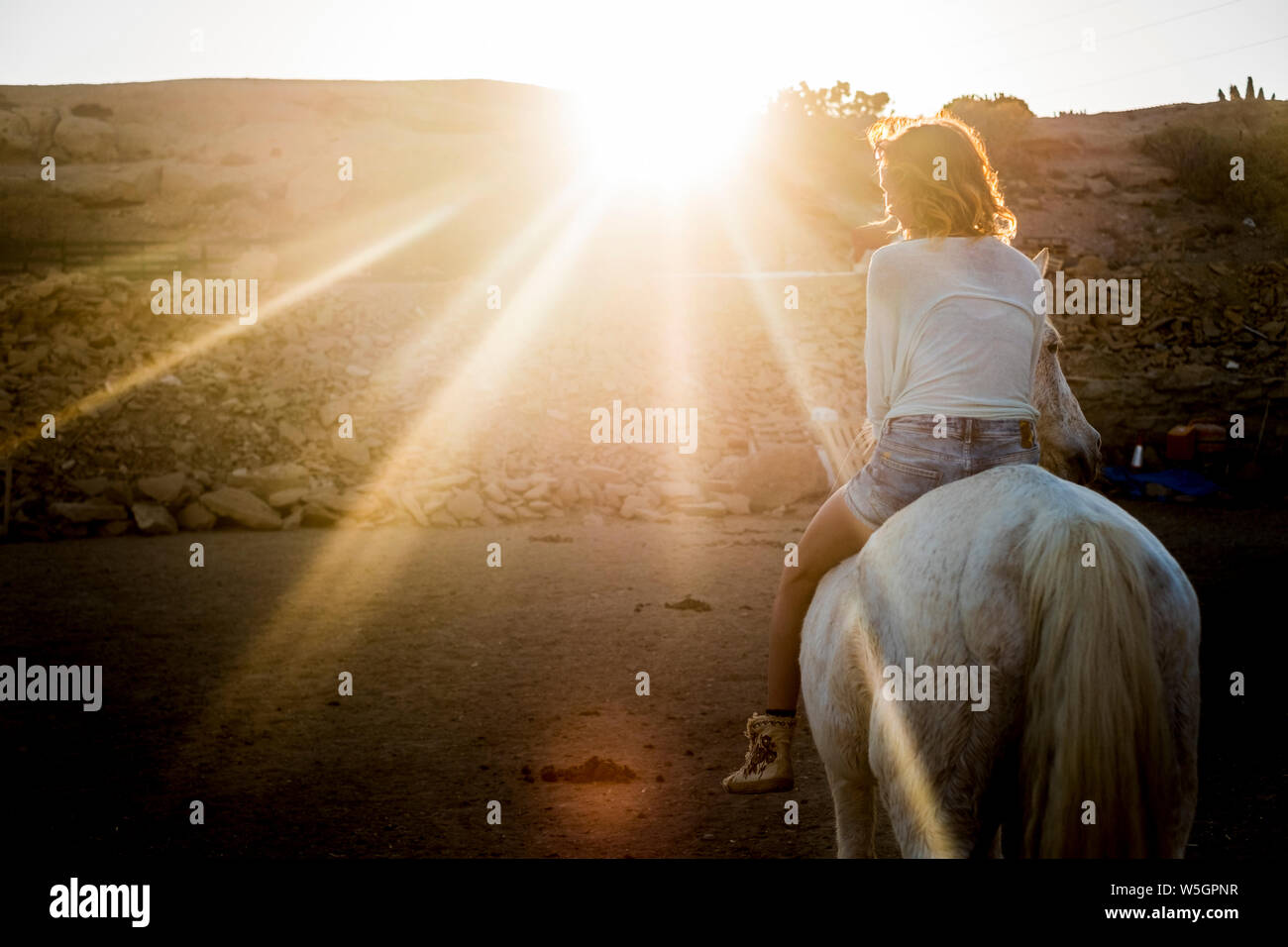Girl riding a horse viewed from back with beautiful sunset effect ...