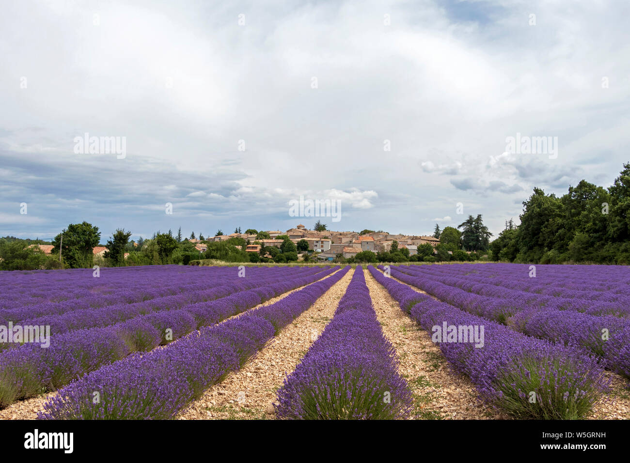Typical village in Southern France at blooming season, Landscape with ...