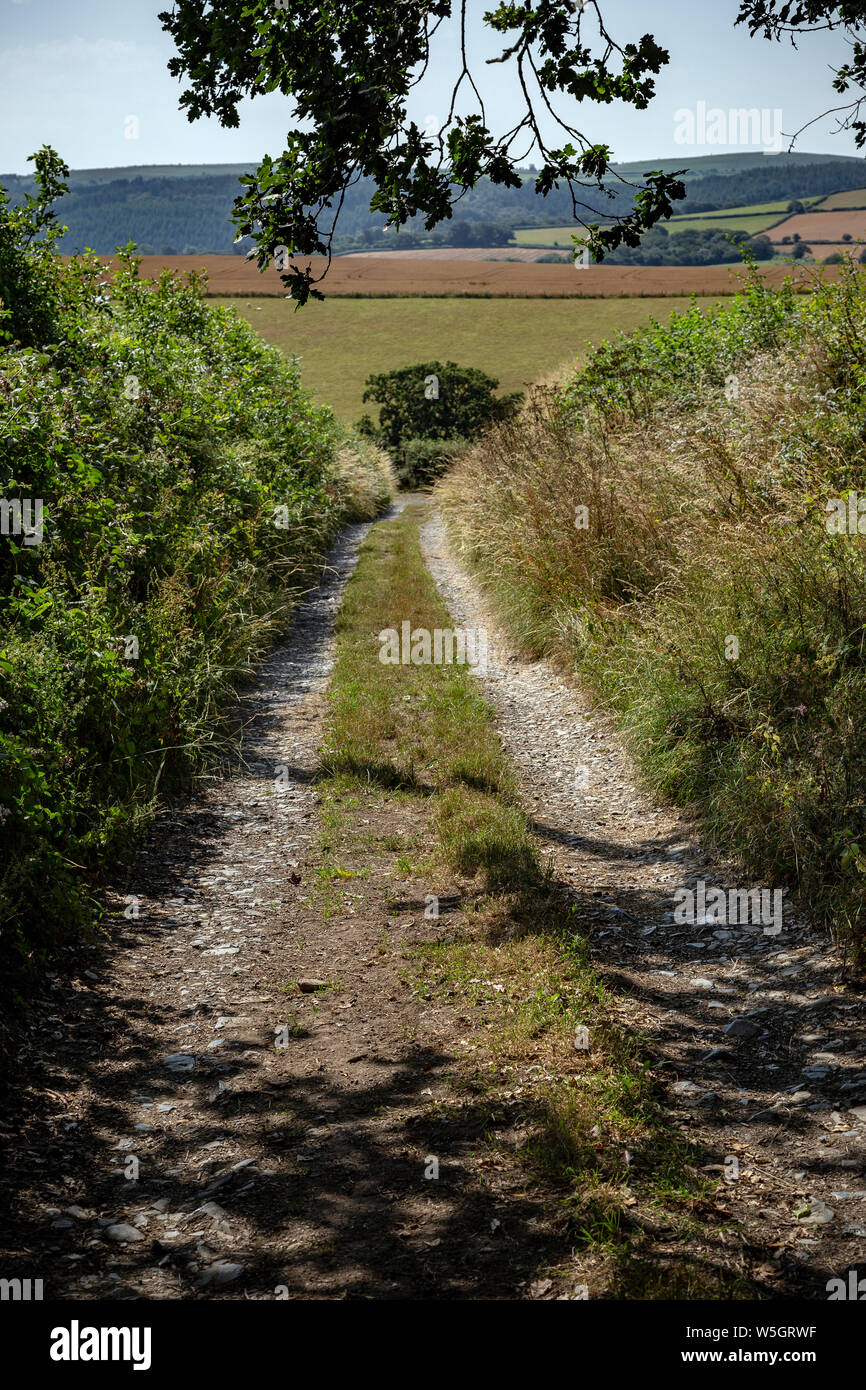 country lane on Dartmoor,Blossom, Devon, Dirt Road, Devon England ...