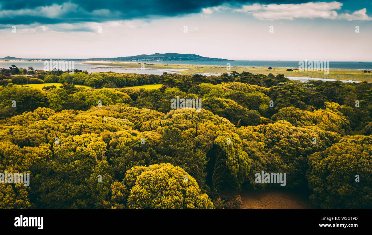Anne park hi-res stock photography and images - Alamy