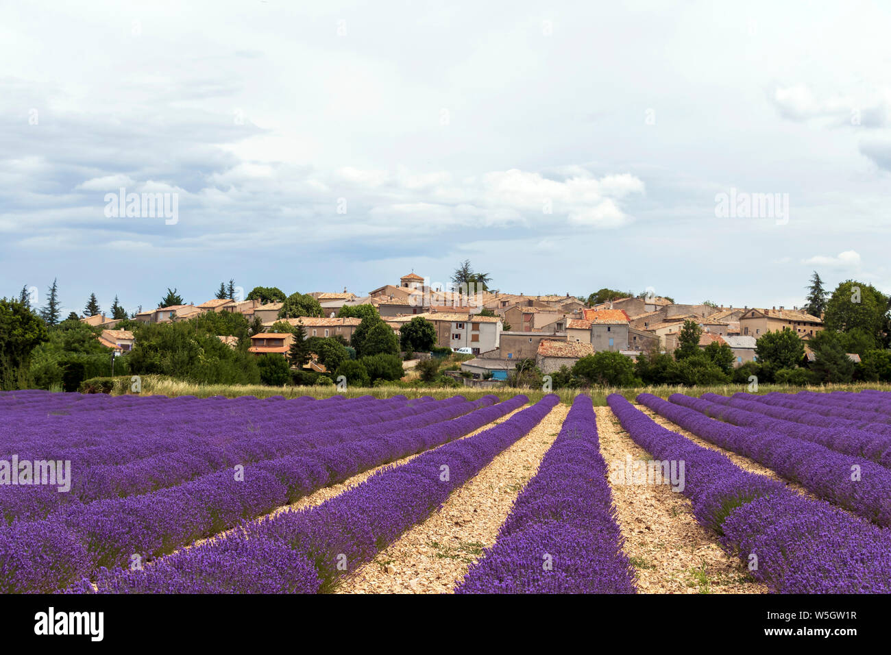 Typical village in Southern France at blooming season, Landscape with ...