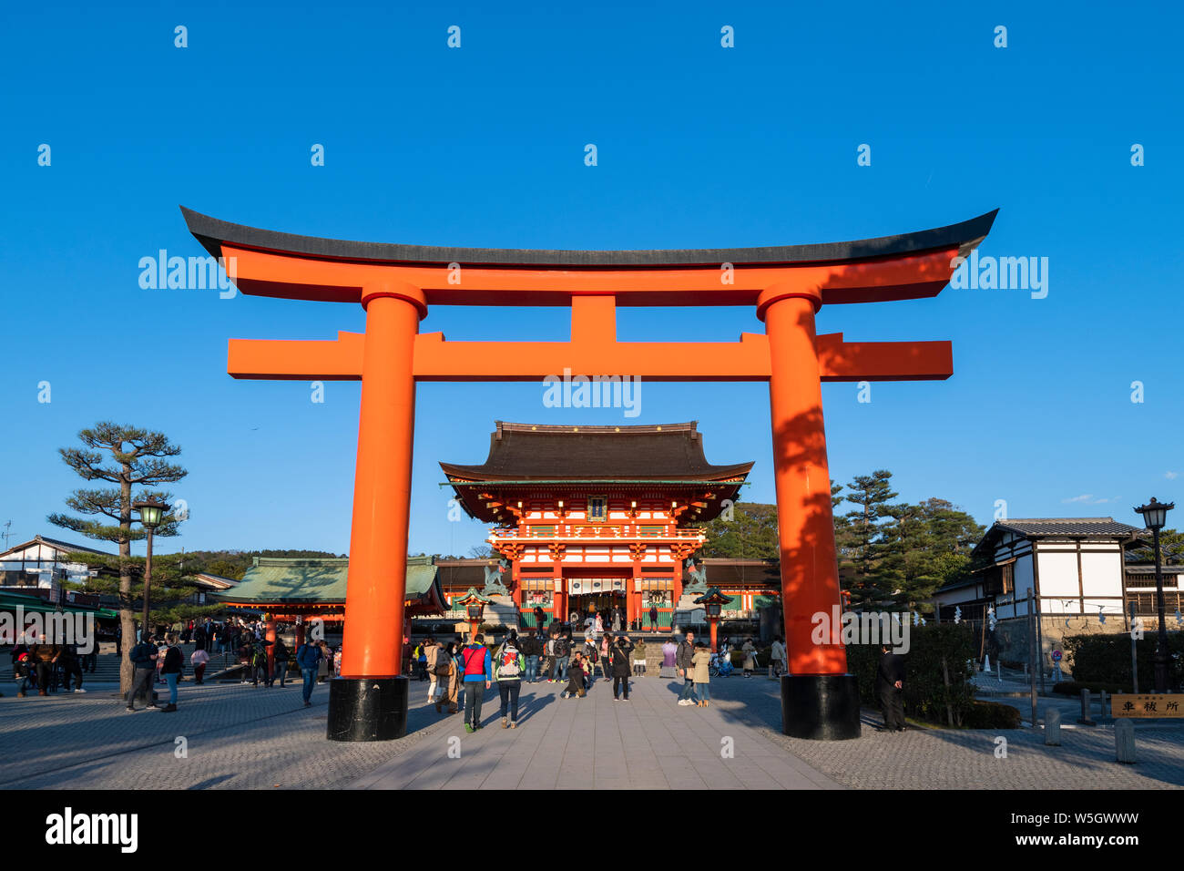 Fushimi Inari Taisha shrine and torii gates, Kyoto, Japan, Asia Stock ...