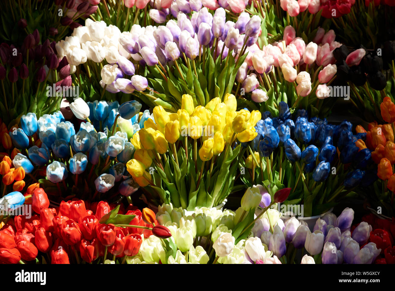 Close-up shot of tulips on flower market Stock Photo - Alamy