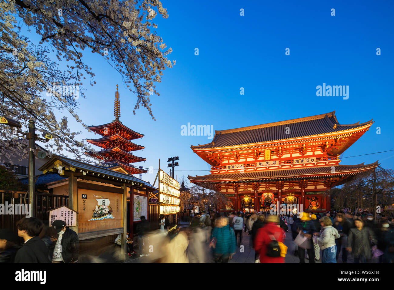 Asia, Japan, Tokyo, spring cherry blossoms, Asakusa, Sensoji temple ...