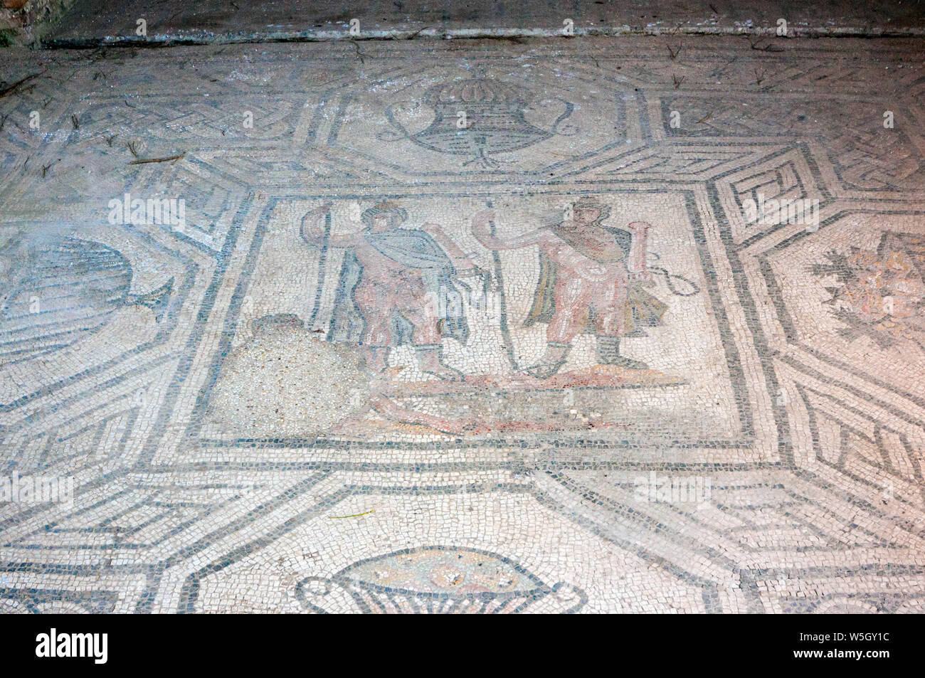 Mosaic floor of Domus dei Dioscuri, Ostia Antica archaeological site ...