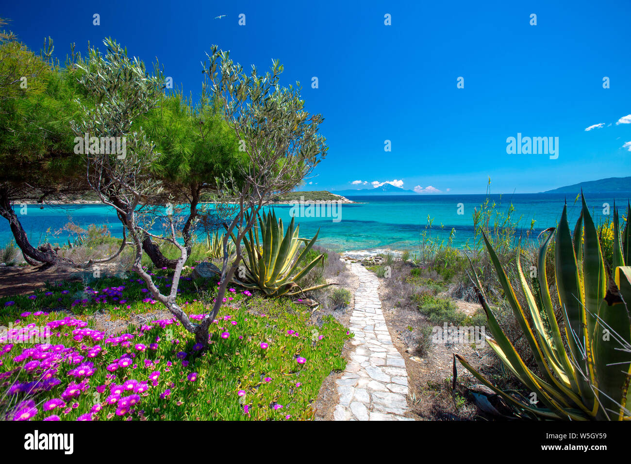 Sakis hi-res stock photography and images - Alamy