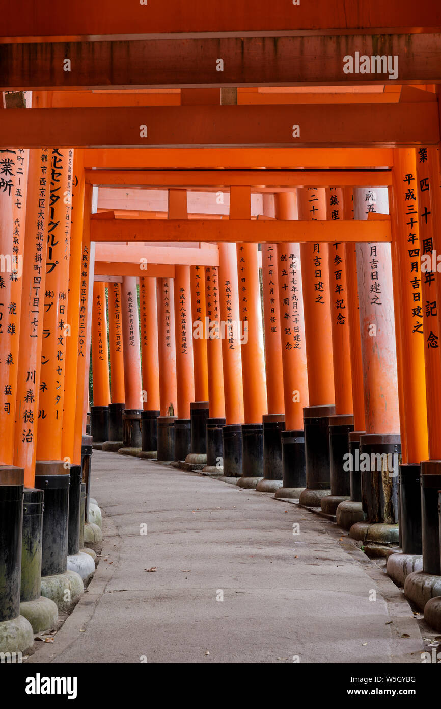 Vermilion torii gates at the Fushimi Inari Shrine in Kyoto, Japan, Asia ...