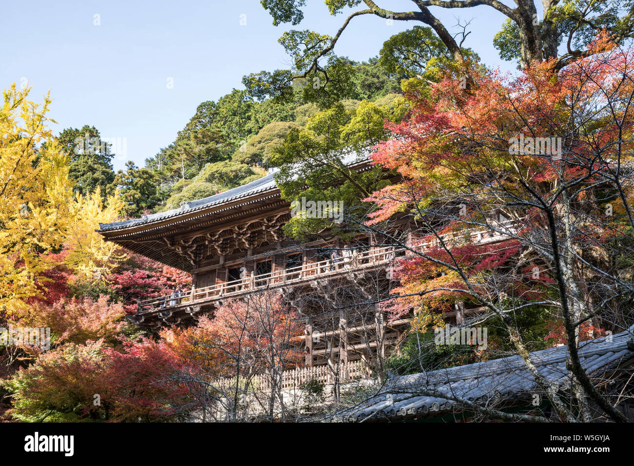 Shosha hi-res stock photography and images - Alamy