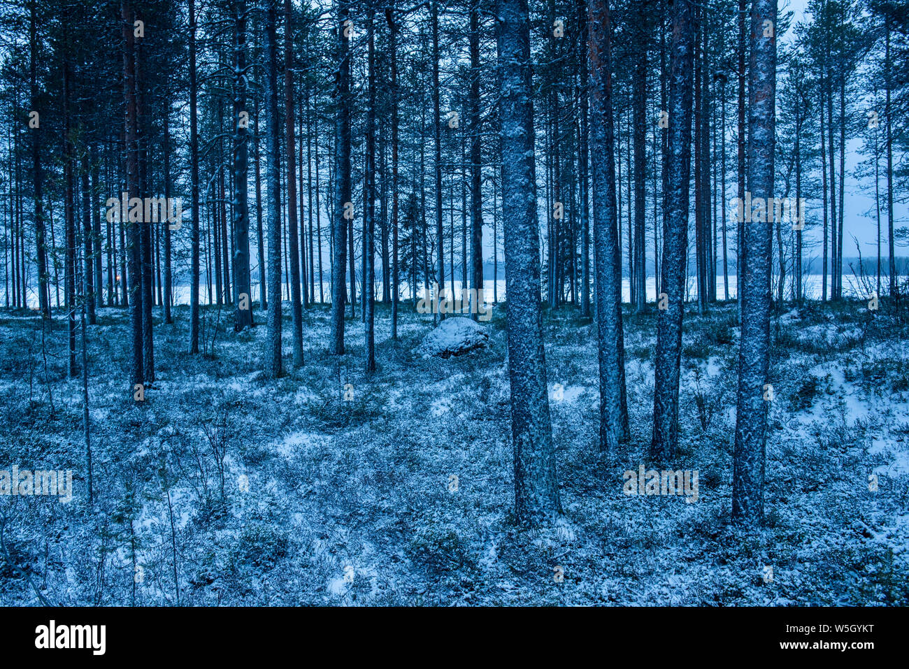 Akaslompolo hi-res stock photography and images - Alamy