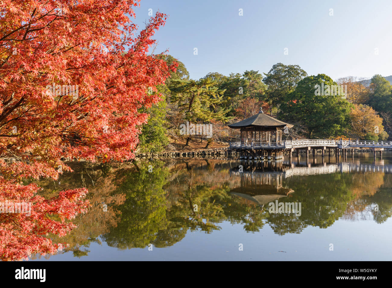 Autumn color around Ukimido Pavilion on the Sagiike Pond, Nara Park ...