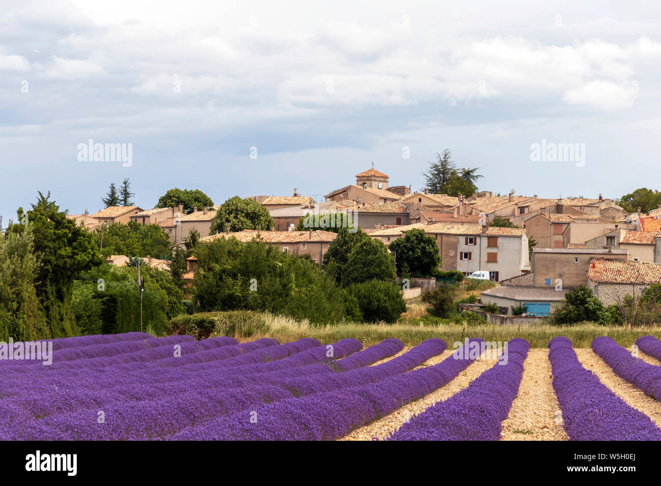 Typical village in Southern France at blooming season, Landscape with ...