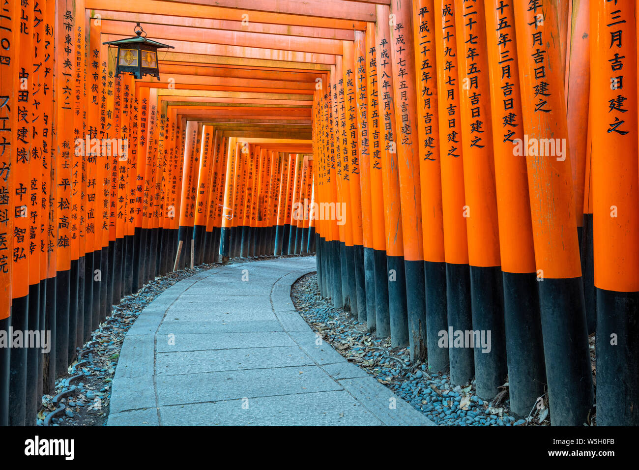 Fushimi Inari Taisha shrine and torii gates, Kyoto, Japan, Asia Stock ...