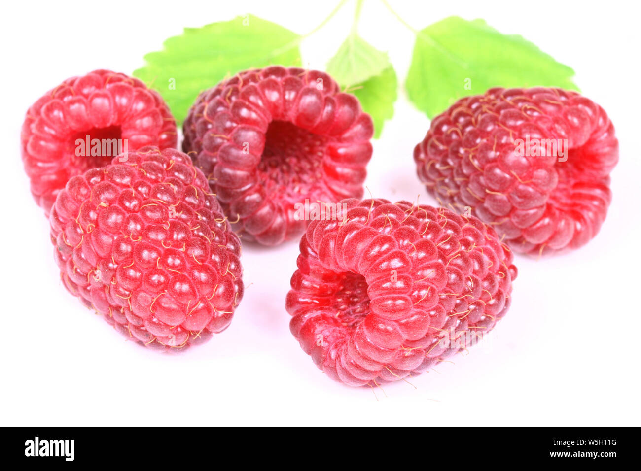 Fresh raspberries isolated Stock Photo - Alamy