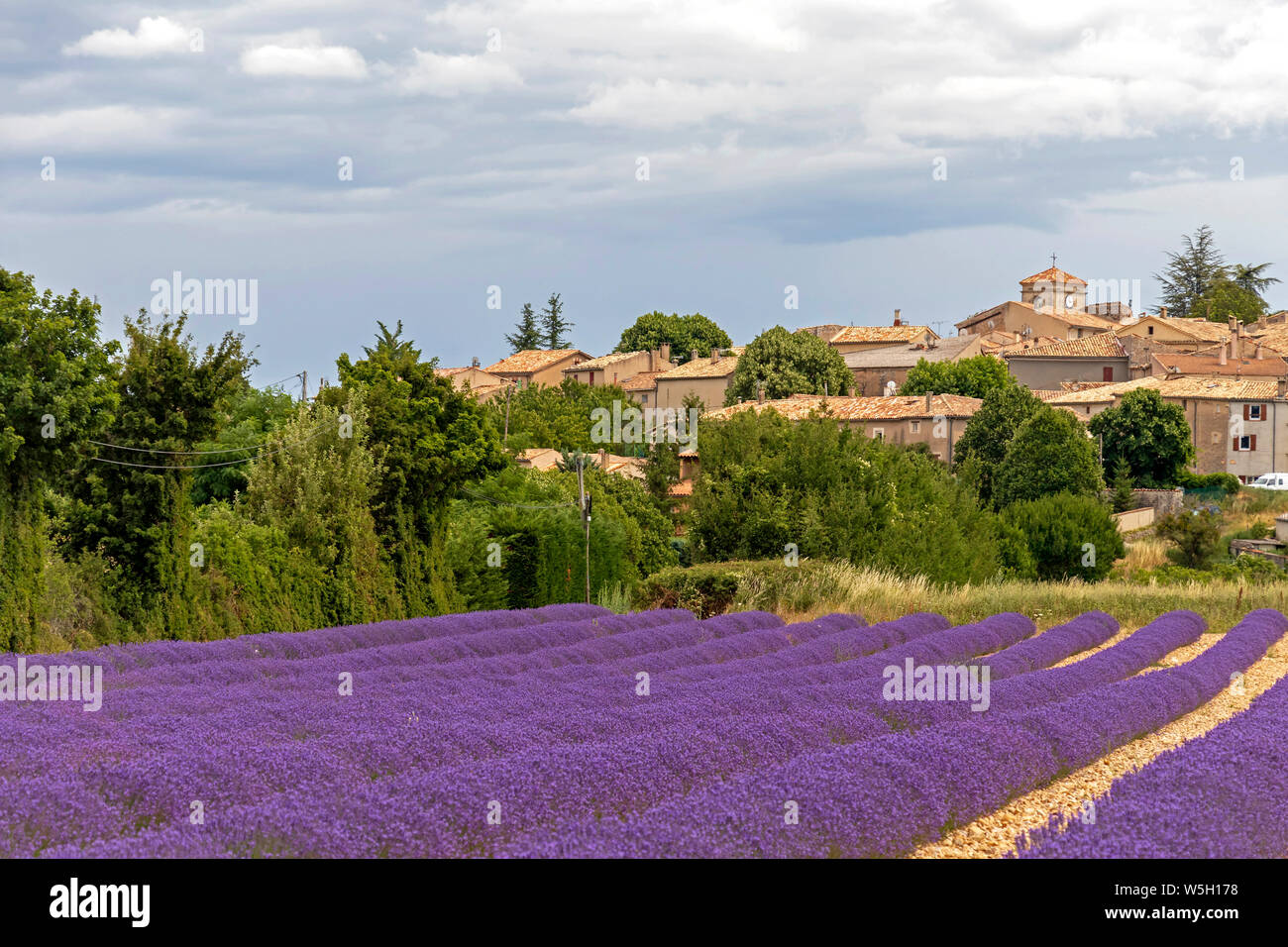 Typical village in Southern France at blooming season, Landscape with ...