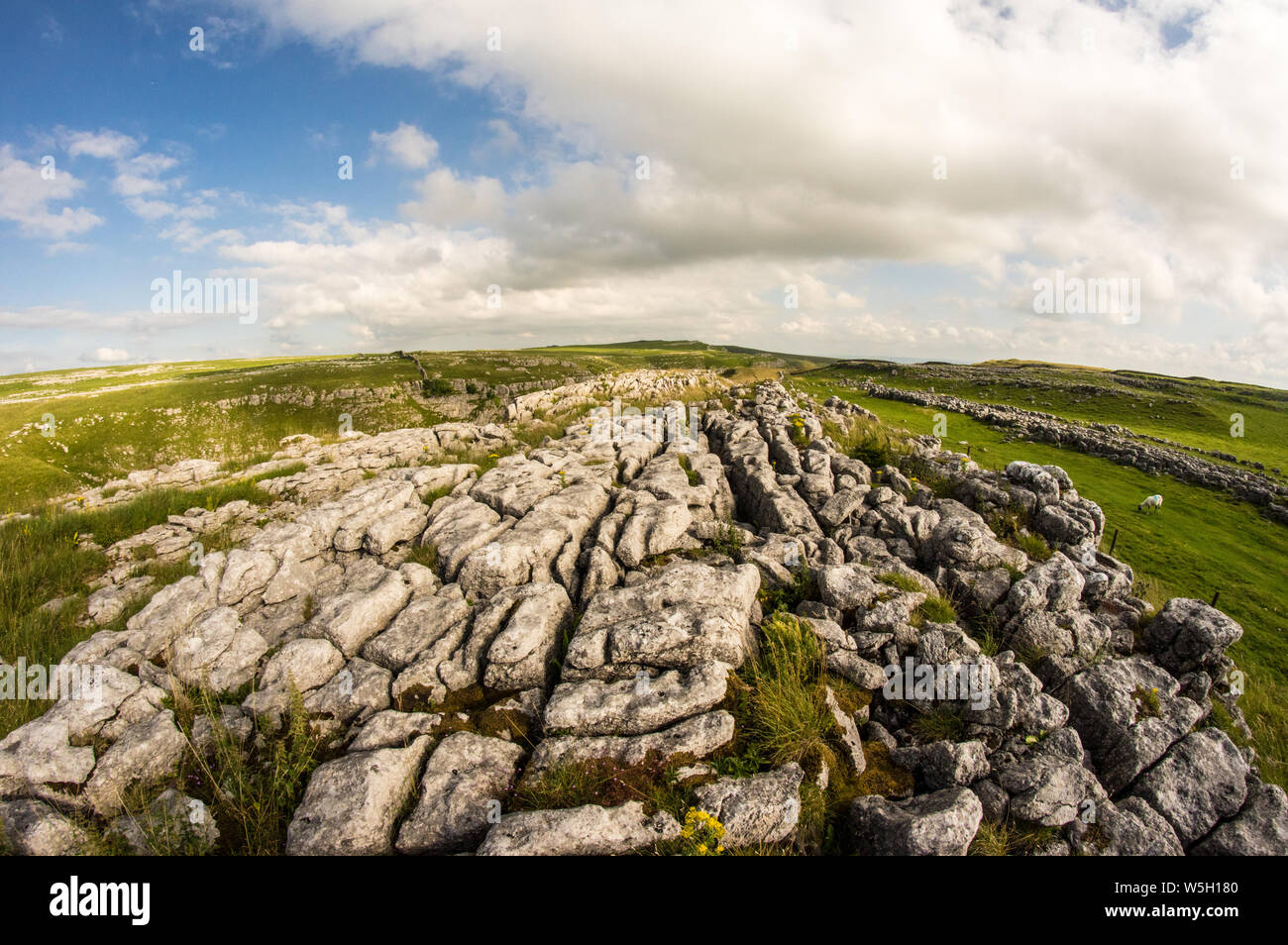 Limestone pavement above Malham, Yorkshire Dales, Yorkshire, England ...