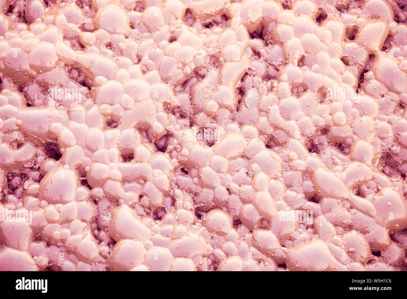 Abstract organic science bubbles background Organic bubbles from the ...