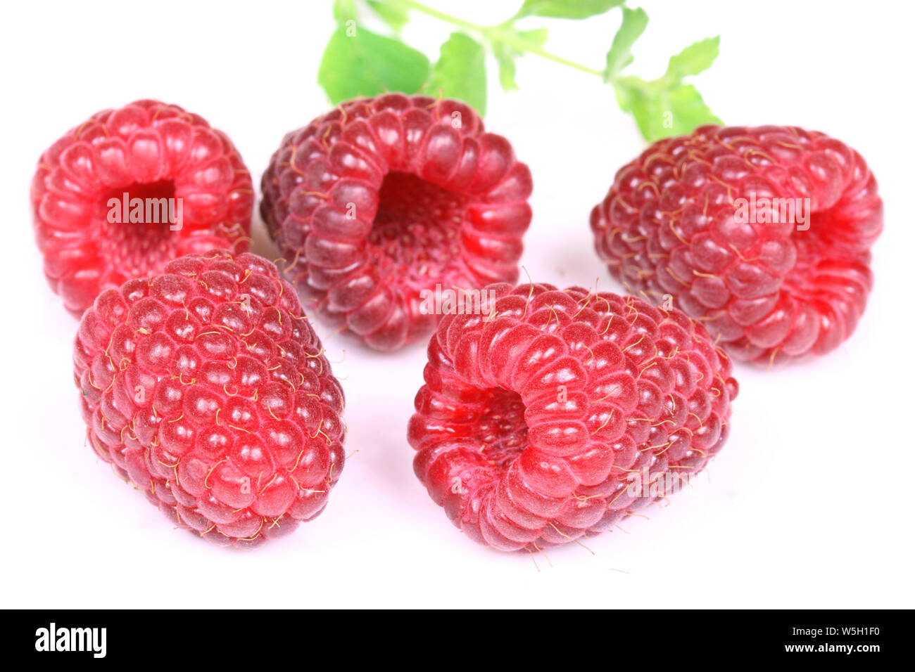 Fragrant raspberries hi-res stock photography and images - Alamy