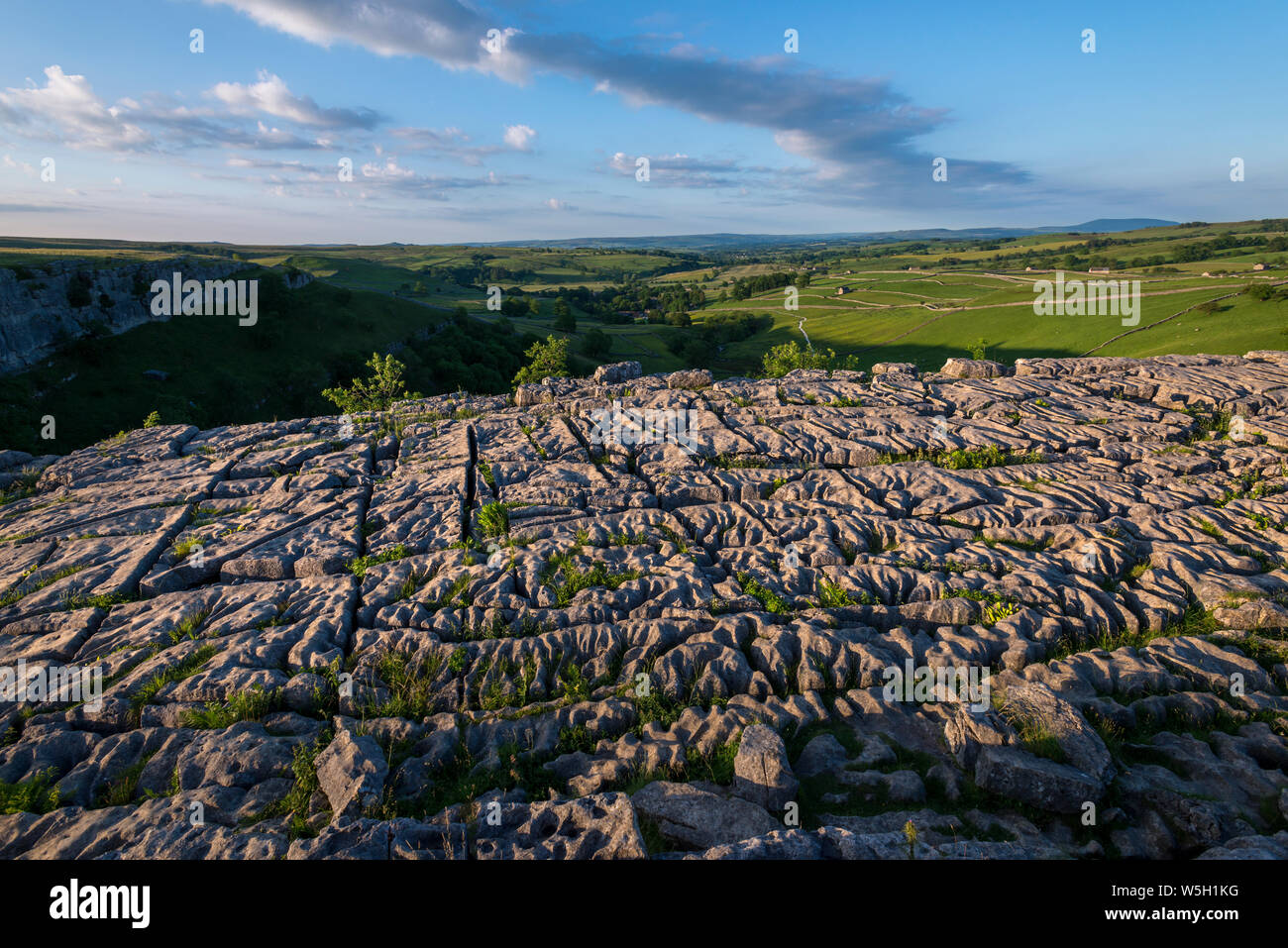 Evening light shows dramatic surface of the famous Limestone Pavement ...