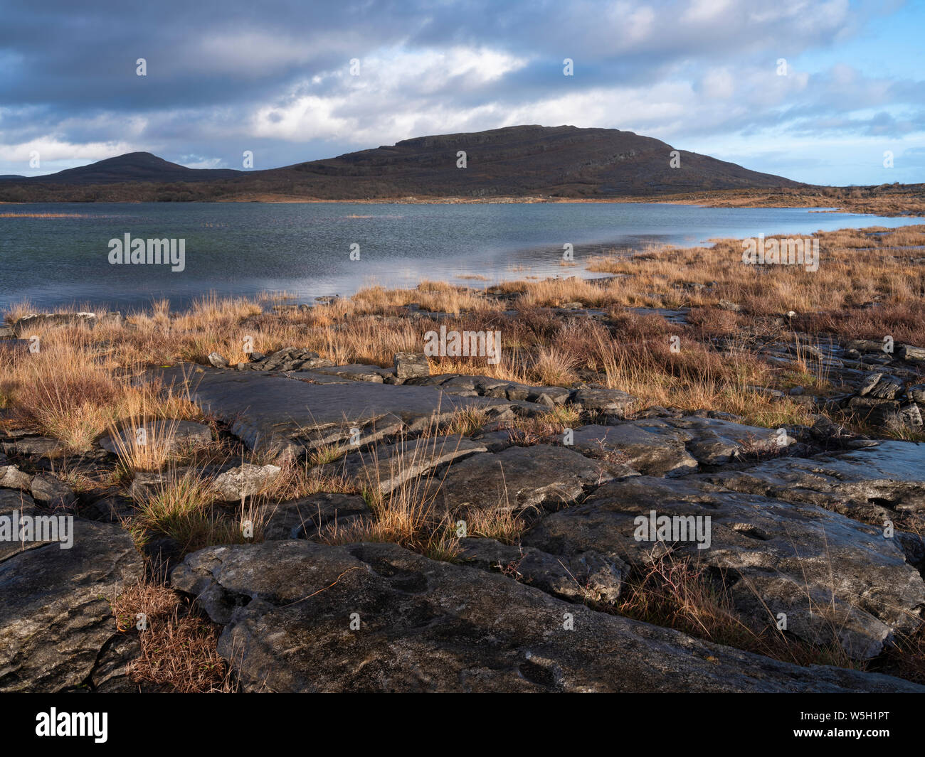 Mullagh More, The Burren, County Clare, Munster, Republic of Ireland ...