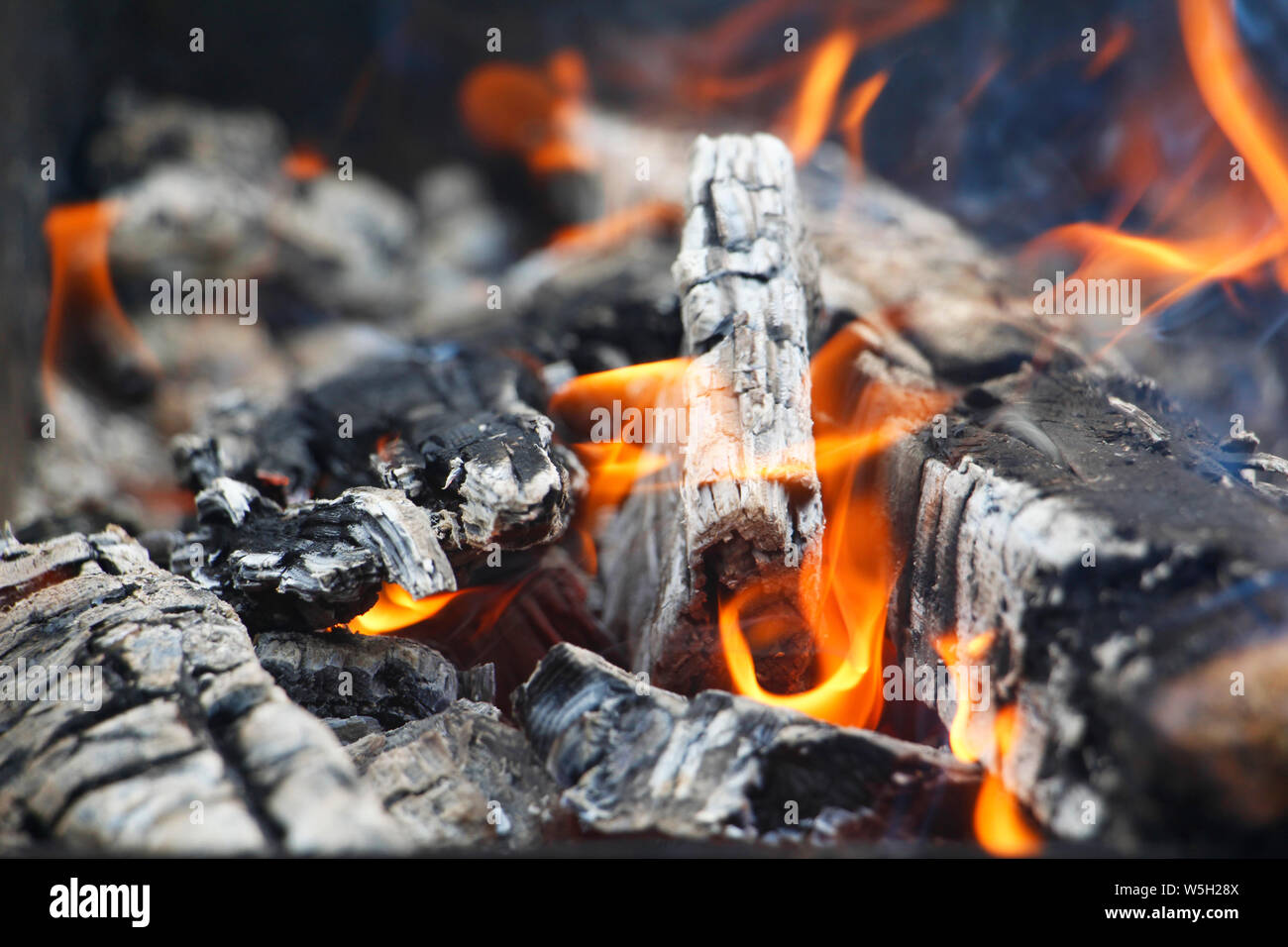 Bonfire. Orange flame of a fire. Burning birch tree in the fireplace ...