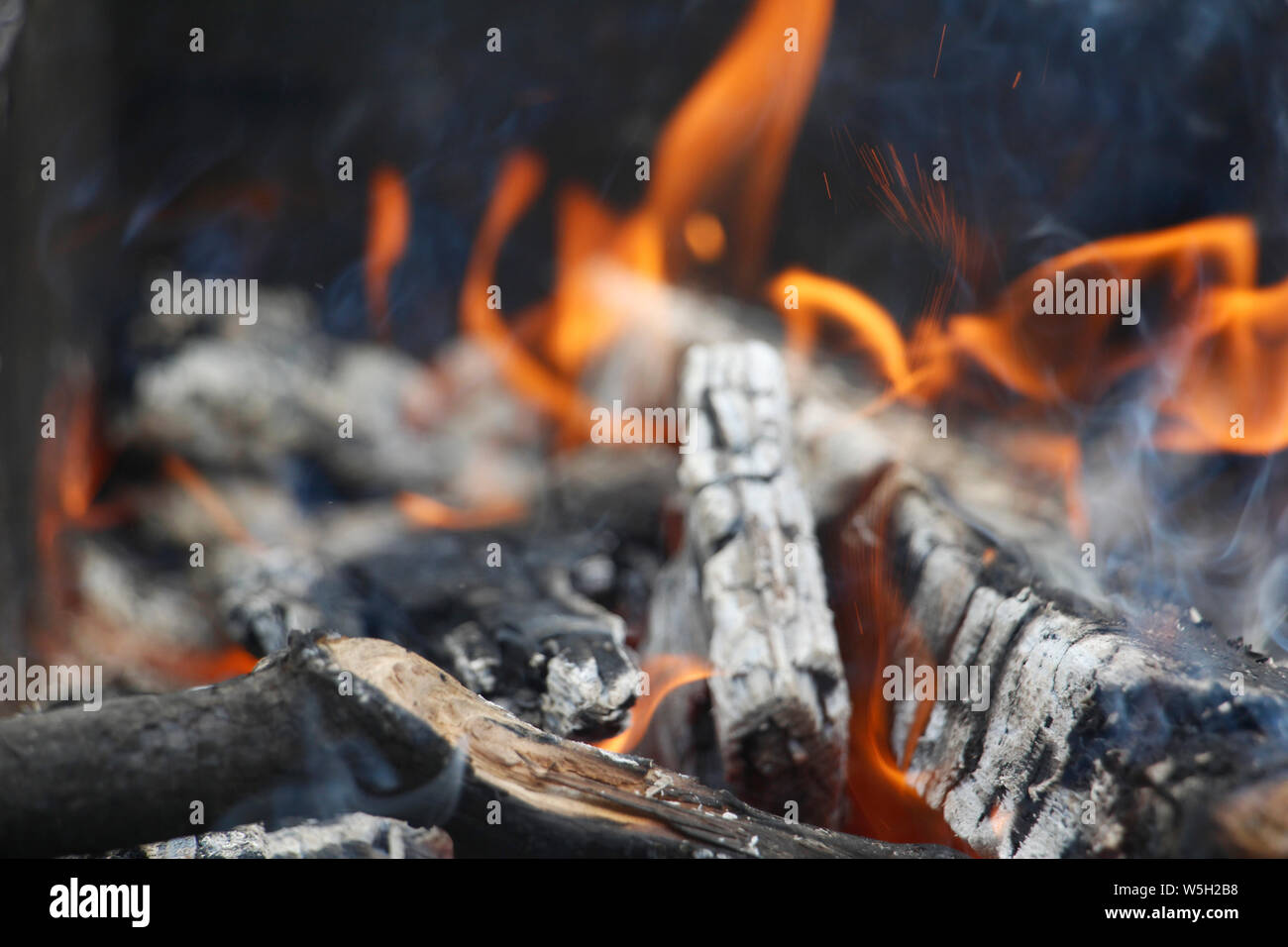 Bonfire. Orange flame of a fire. Burning birch tree in the fireplace ...