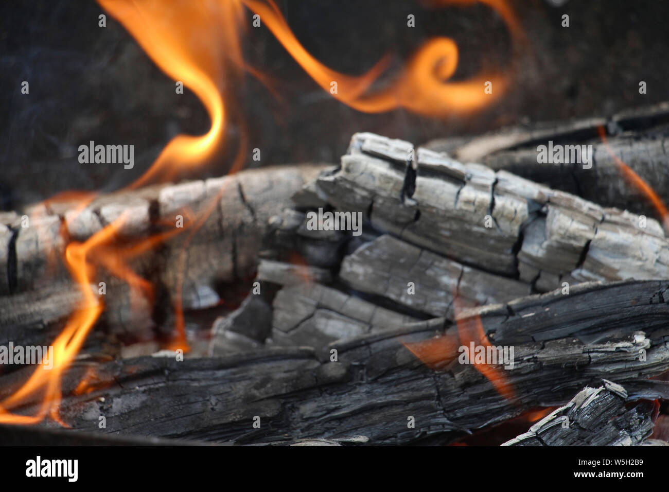 Fire on tree hi-res stock photography and images - Alamy