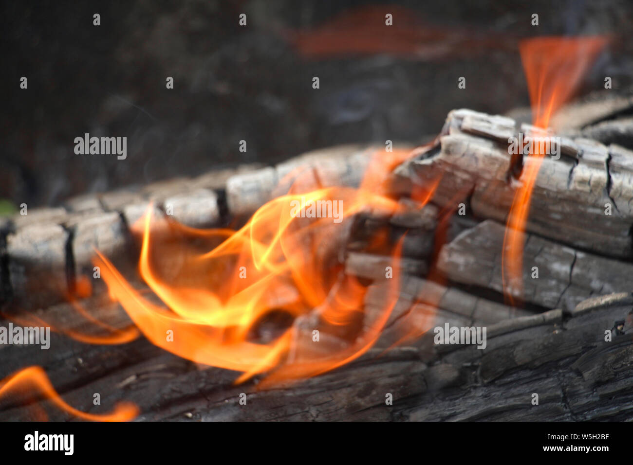 Bonfire. Orange flame of a fire. Burning birch tree in the fireplace ...