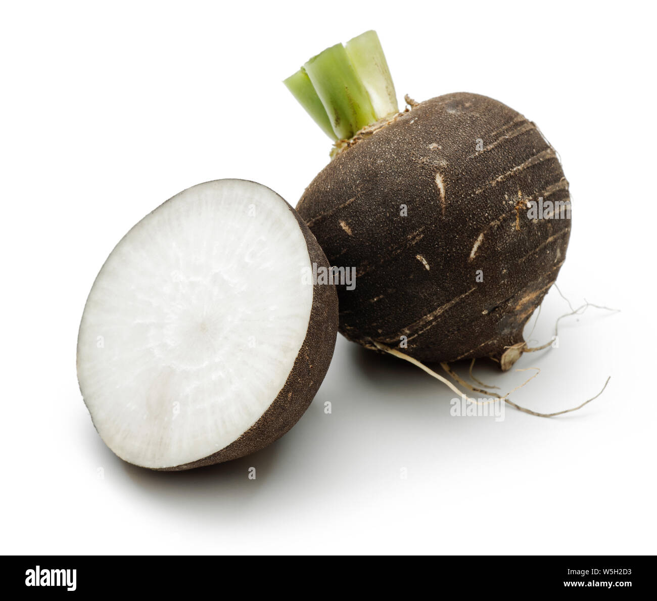 Fresh black radish roots isolated on white background Stock Photo - Alamy