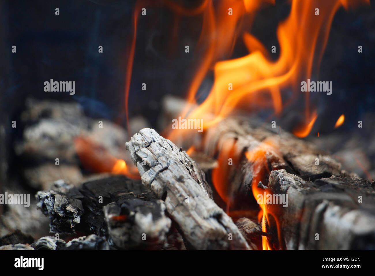 Bonfire. Orange flame of a fire. Burning birch tree in the fireplace ...