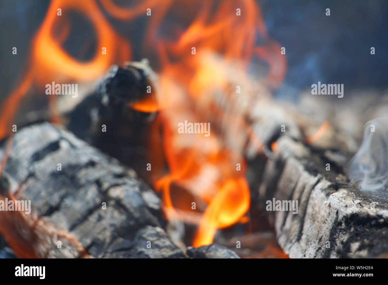 Bonfire. Orange flame of a fire. Burning birch tree in the fireplace ...
