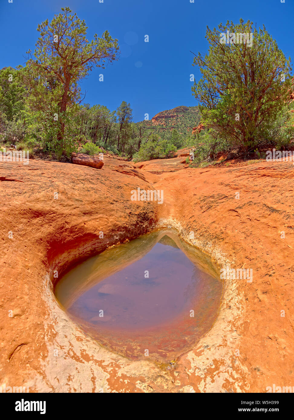 Captured rainwater hi-res stock photography and images - Alamy