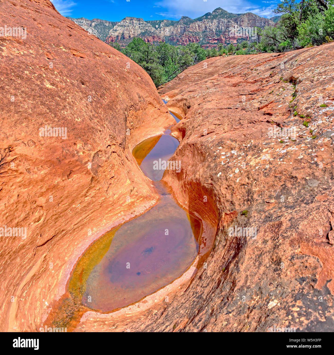 Captured rainwater hi-res stock photography and images - Alamy