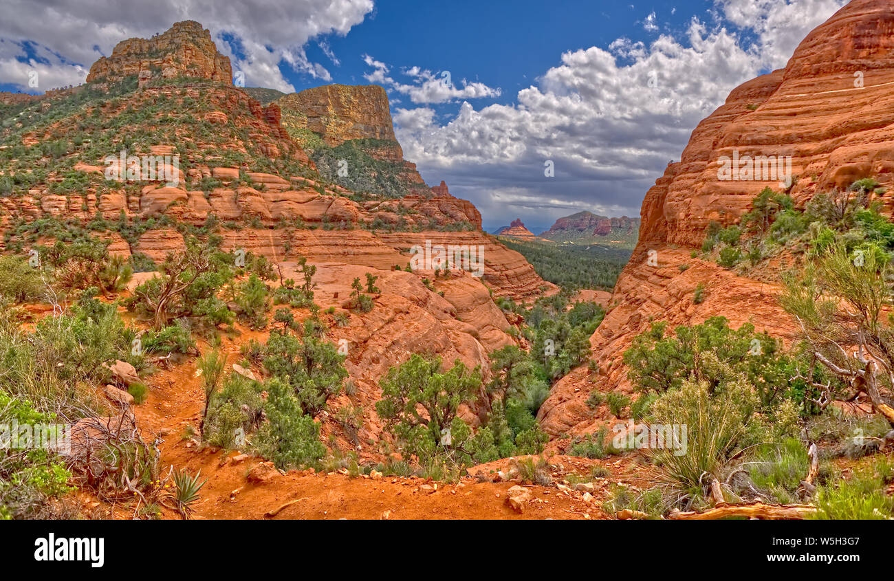 View of Chicken Point from the end of the High On The Hog Trail in ...