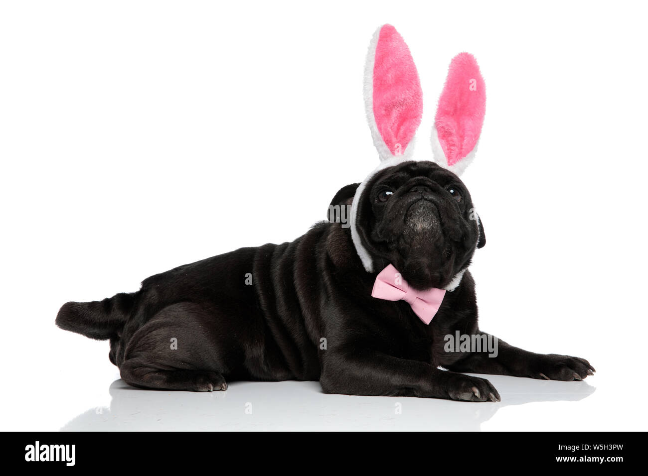 Lying on ba hi-res stock photography and images - Alamy