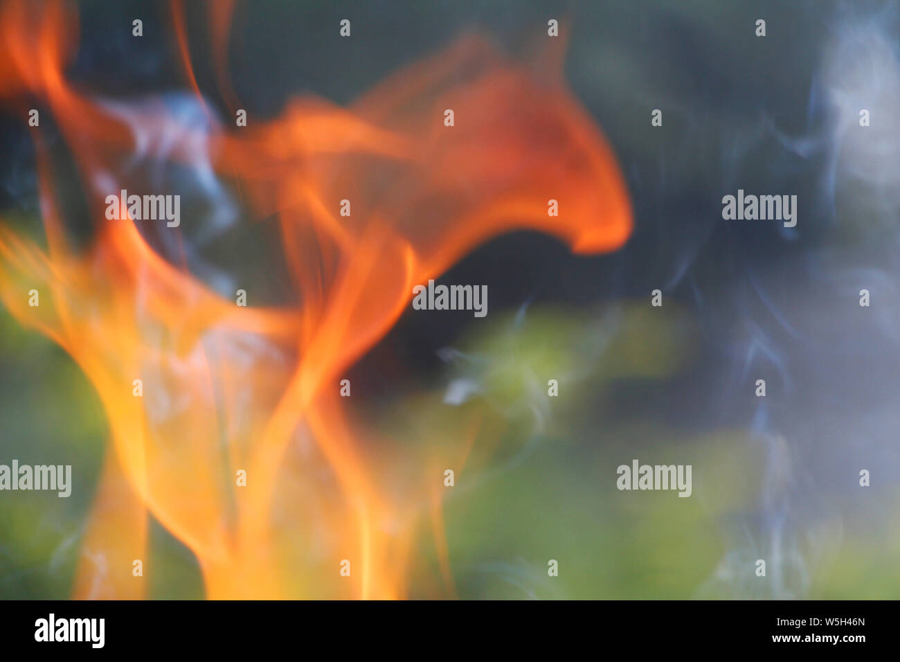 Texture. Bonfire. Orange flame of a fire. Burning birch tree in the ...