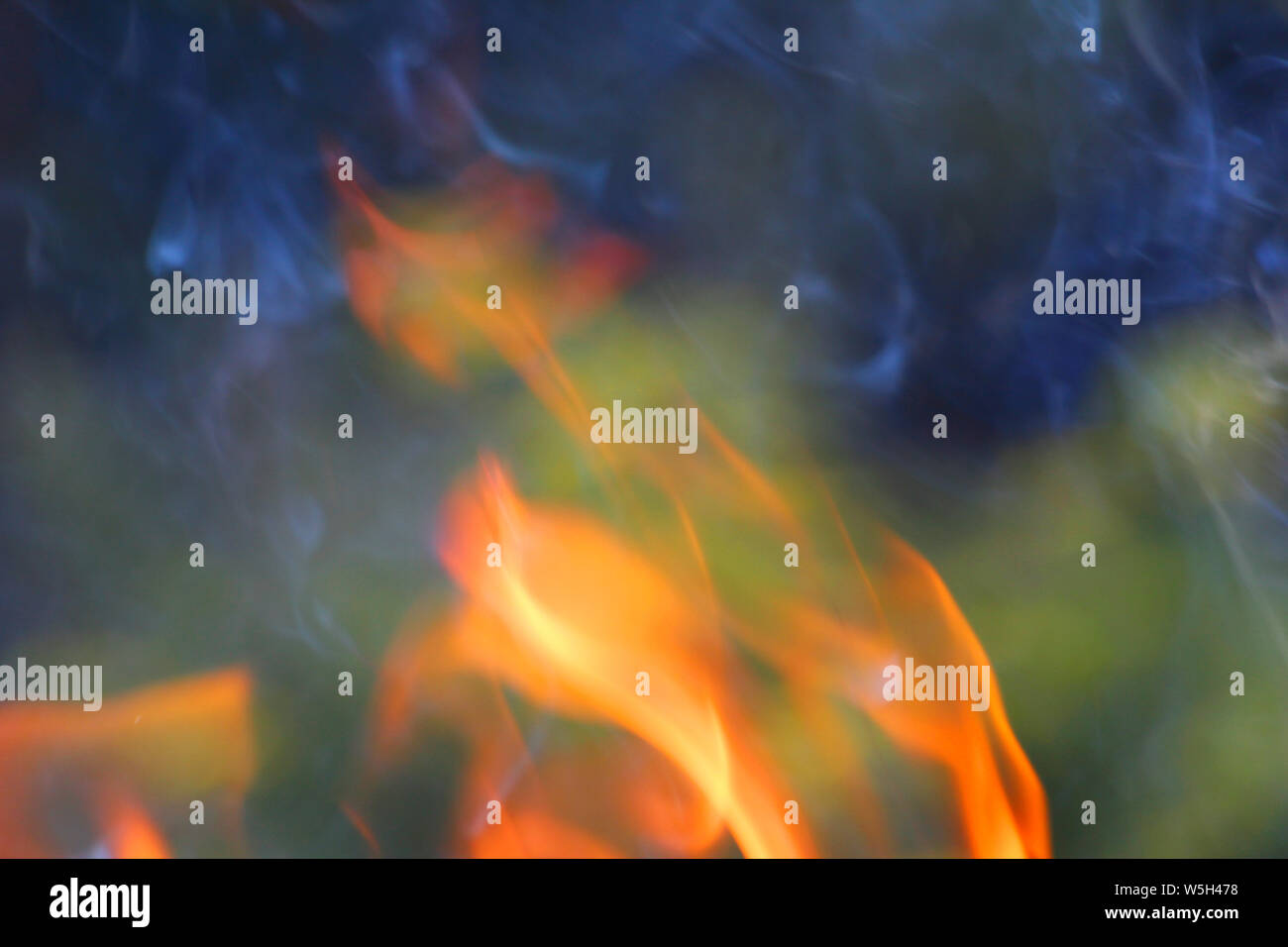 Texture. Bonfire. Orange flame of a fire. Burning birch tree in the ...